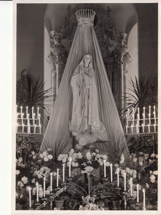 Siebnen, Fotokarte W. Albrecht 1955 (Gebraucht) in Bürglen TG für CHF 8 – mit Lieferung auf ...