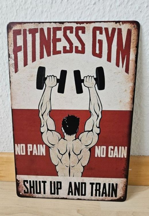 Schild Fitness Gym No Pain no Gain 30x20cm (Neu (gemäss Beschreibung ...