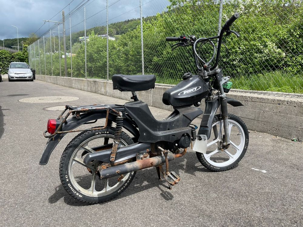 Pony Cross | Kaufen auf Ricardo