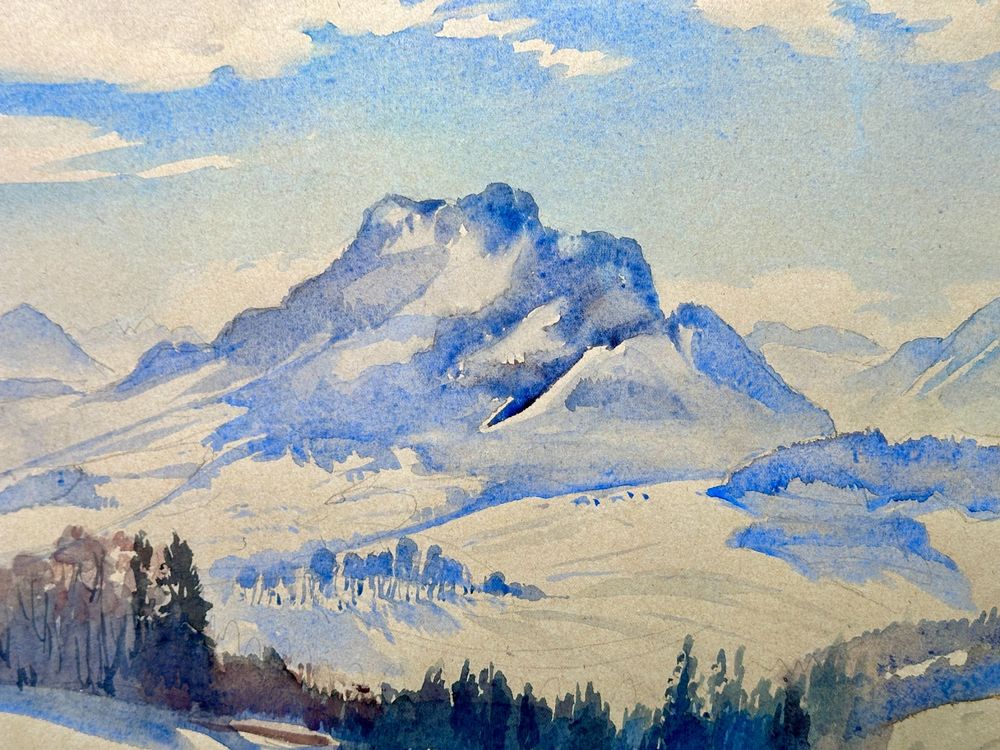 Superbe aquarelle paysage de montagne Suisse signée STEIN (Gebraucht) in Morges für CHF 40 – mit ...