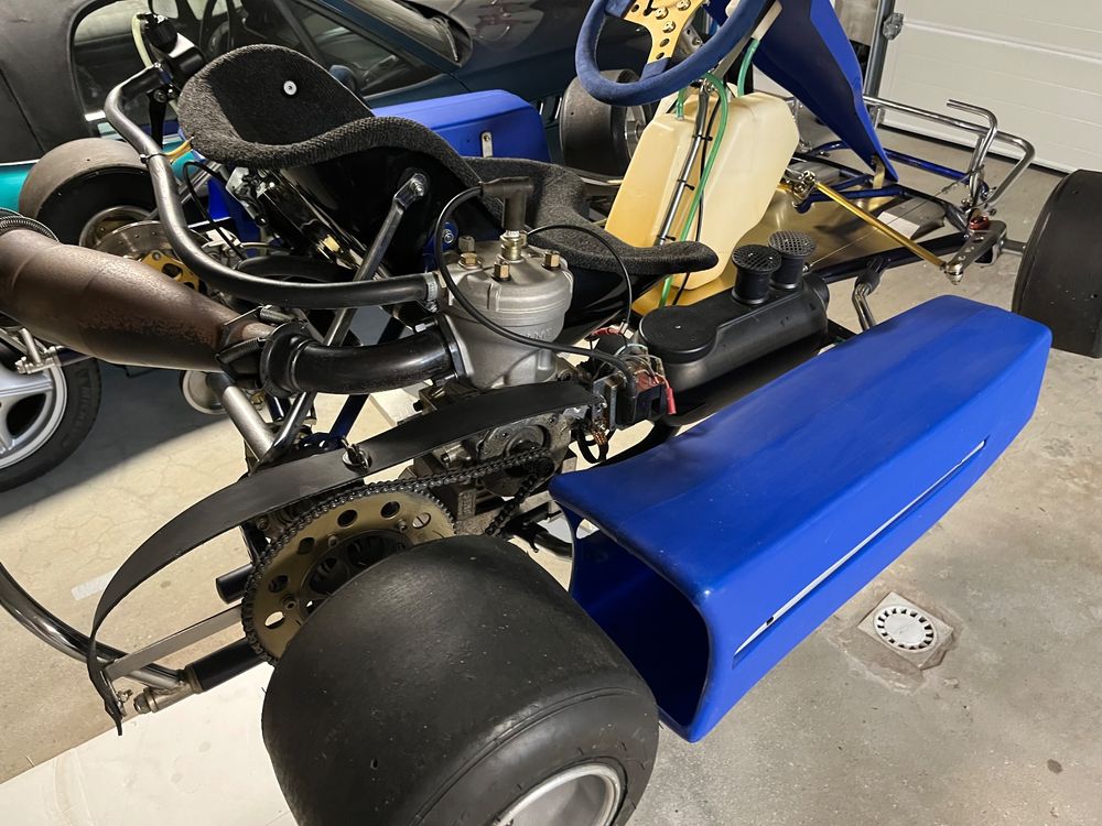 Go-Kart Alpha Karting Pop RL 25 EM/30, sans vitesses (D'occasion) à St ...