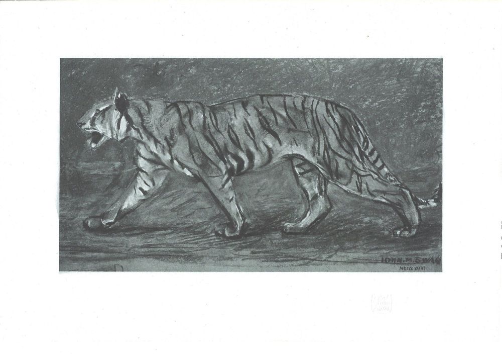 Antik 1901 - J.M. Swan, Tiger | Kaufen auf Ricardo