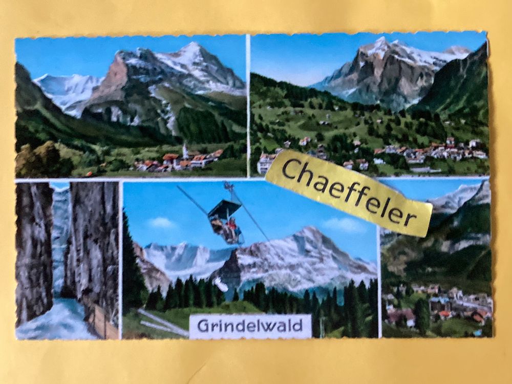 Grindelwald mit Gletscherschlucht und Fitstbahn (Gebraucht) in Zürich für CHF 2 – mit Lieferung ...