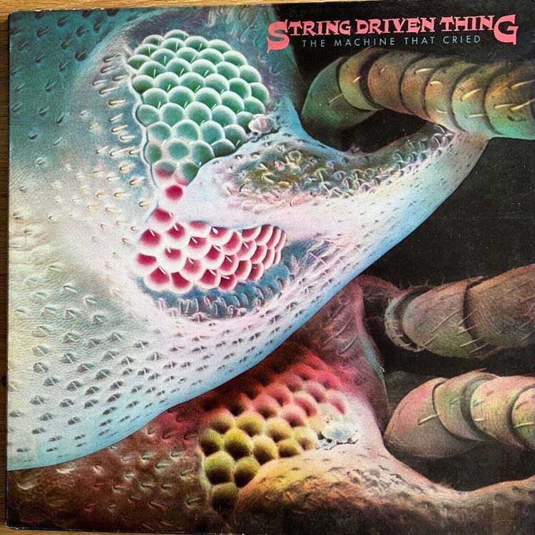 String Driven Thing - The Machine That Cried / 1. UK 1973 (Gebraucht ...