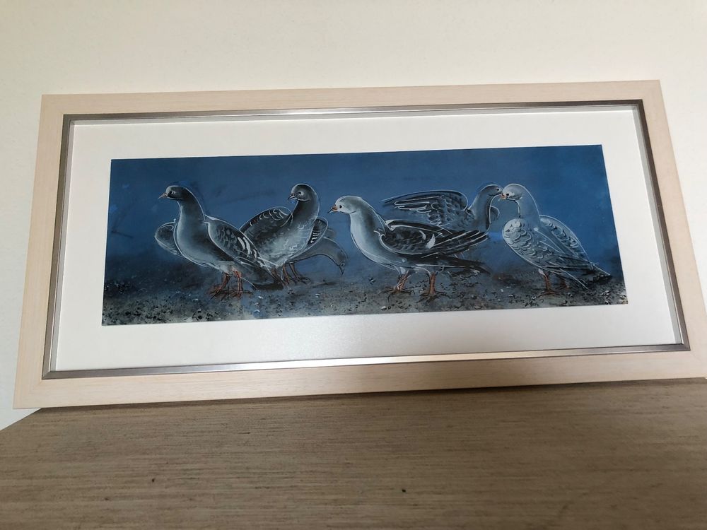 Hans Erni „Friedenstaube“ (Neu und originalverpackt) in Muenchenstein für CHF 100 – mit ...