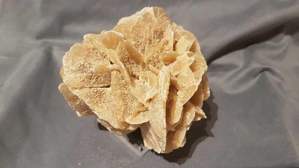 Sandrose (Gebraucht) in Zürich für CHF 22.95 – mit Lieferung auf ...