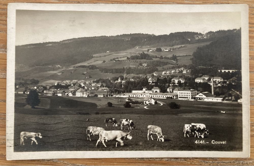 Couvet Val-de-Travers Kühe Weide | Kaufen auf Ricardo