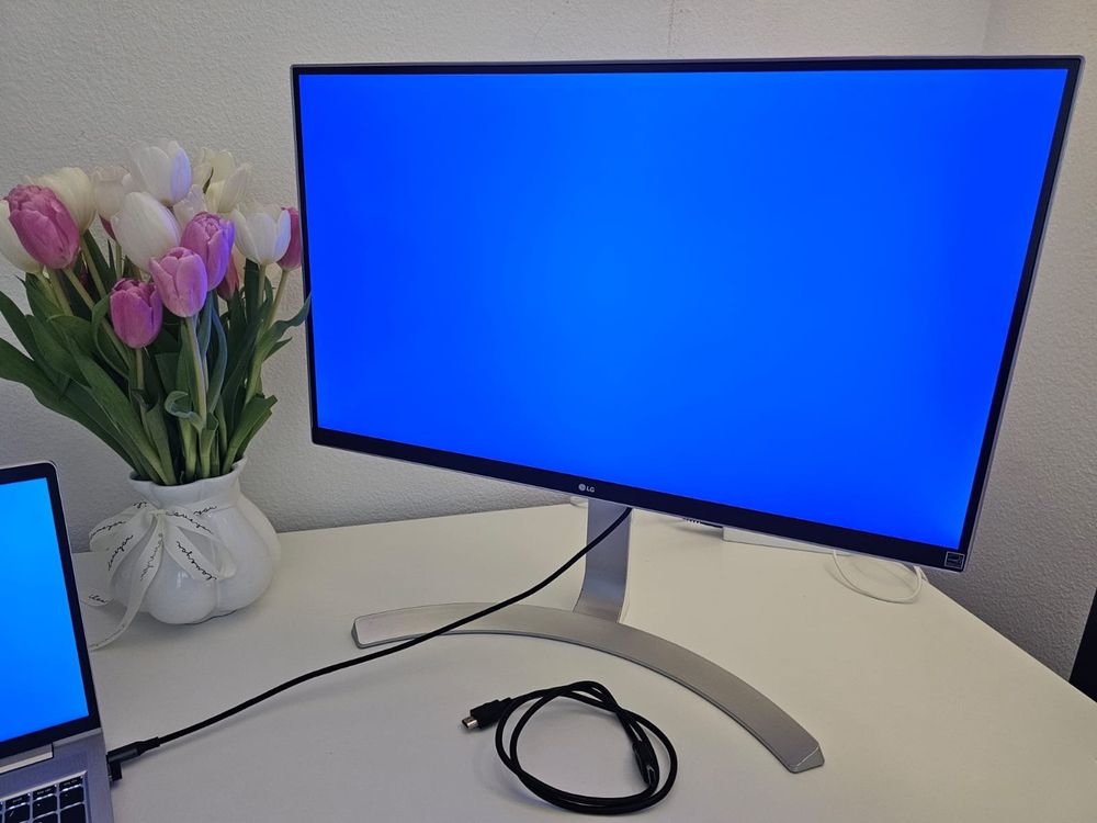 LG 27UD88-W 27″ 4K UHD IPS Monitor – USB-C (Gebraucht) in Wettingen für ...