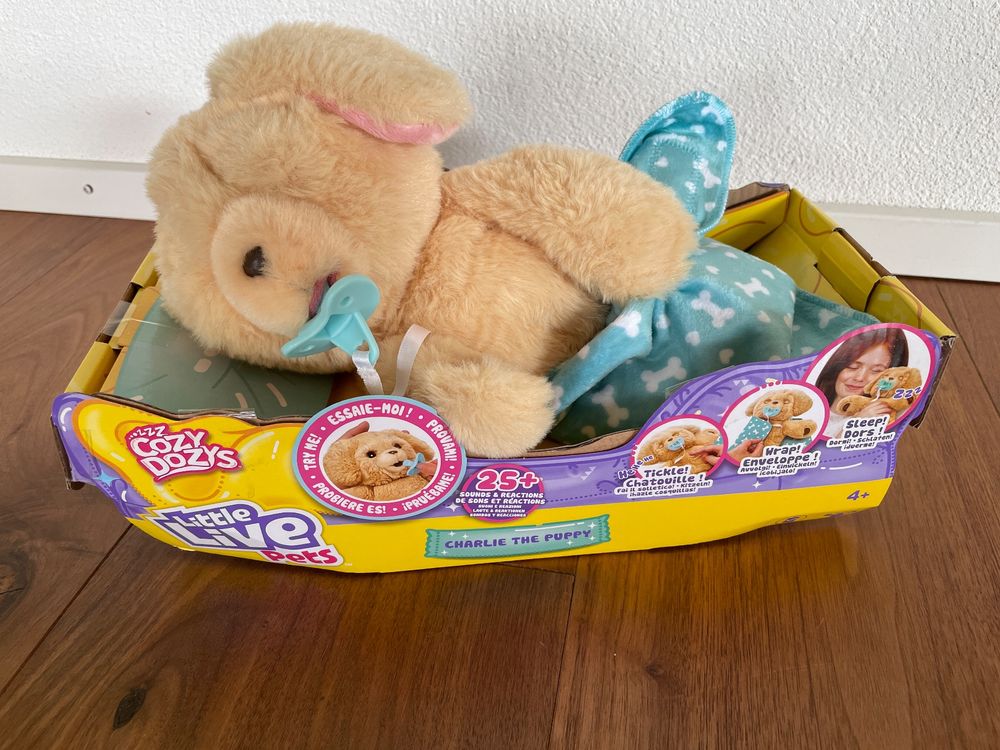 Charlie the Puppy cozy dozy little live pets (Neu und originalverpackt ...