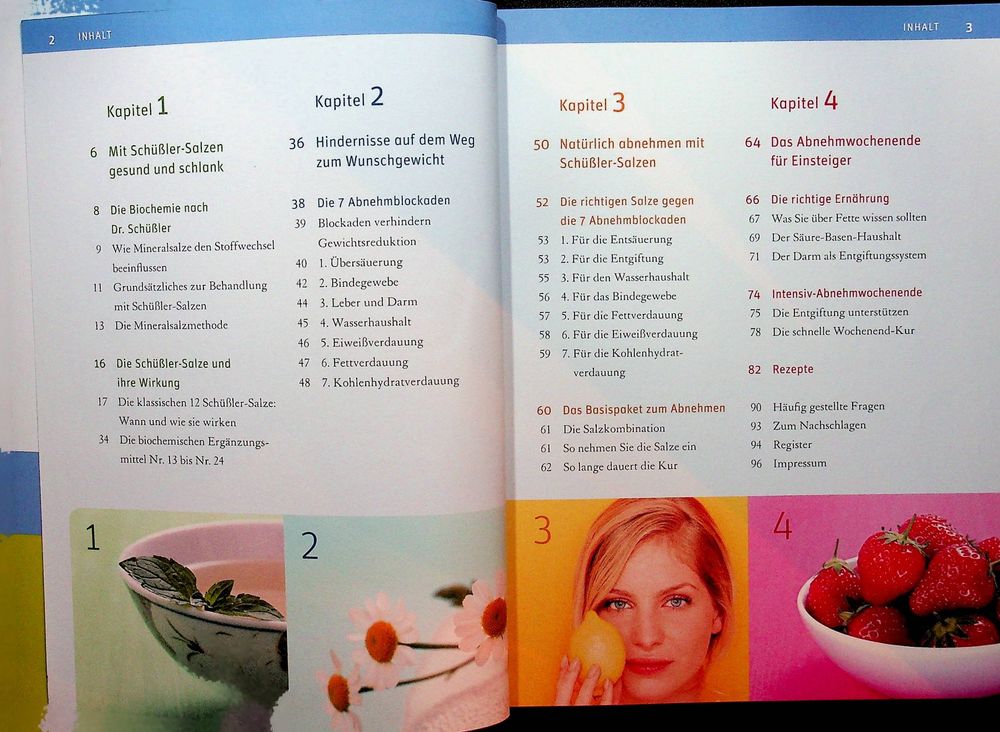 Maria Lohmann Natürlich abnehmen mit Schüssler- Salzen | Kaufen auf Ricardo