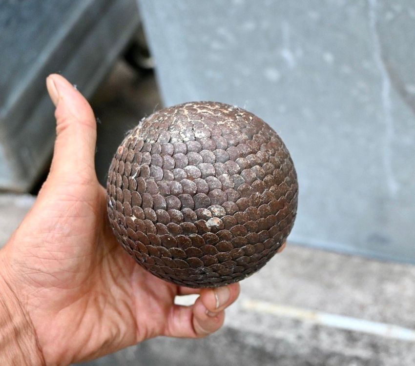 Antik genagelte PETANQUE / BOULE Kugel Nr 12 "Gold“ (Gebraucht) in ...