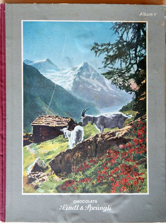 Vintage Chocolats Lindt & Sprüngli Bilder Album Klebebilder (Gebraucht ...