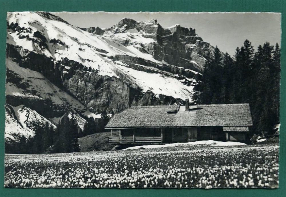 Läger Oeschinensee - Krokuswiese, Stempel nicht lesbar (Gebraucht) in Sargans für CHF 1 – mit ...