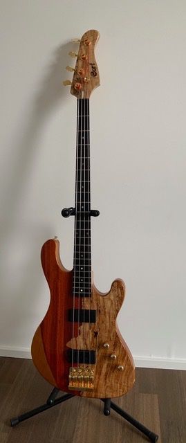 Bass Cort Jeff Berlin rithimic 4 | Kaufen auf Ricardo