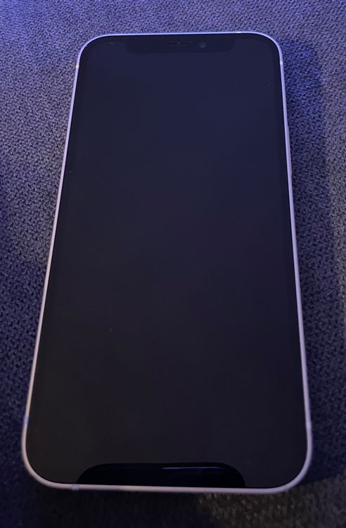 iPhone 12 mini (Gebraucht) in Hinwil für CHF 350 – nur Abholung auf ...