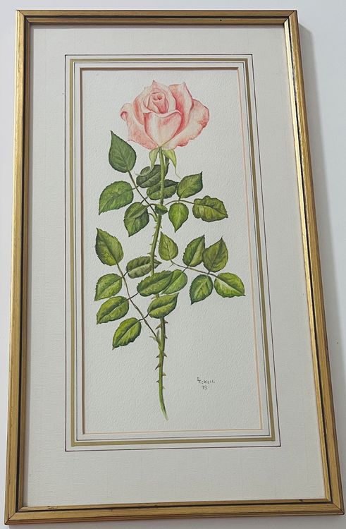 Aquarell Rose Handsigniert Eckell | Kaufen auf Ricardo