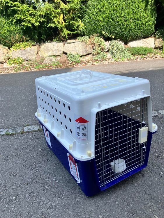 PP30 hundekasten/ dog crate (Gebraucht) in Widnau für CHF 25 – nur ...