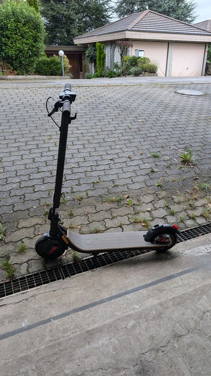 E-scooter Ocean Drive S9 20 km/h, 25 km, 350 W (Gebraucht) in ...