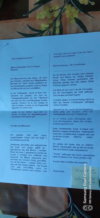 Hexenscheit altes Instrument (Neu (gemäss Beschreibung)) in Chur für ...