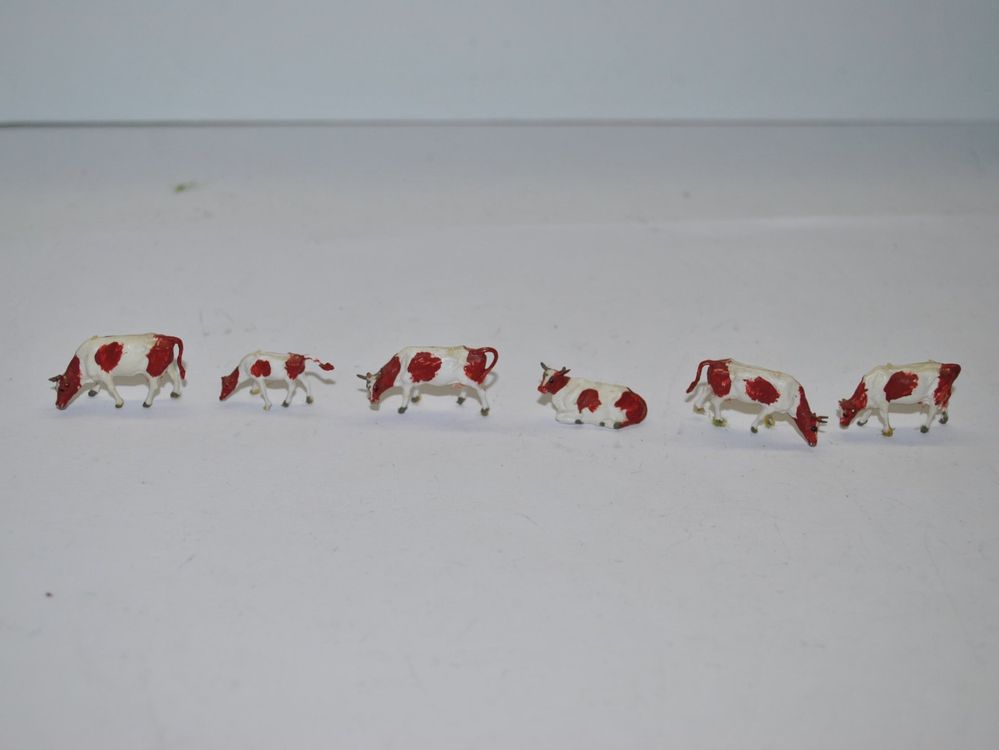 Faller Kühe (RLW206) (Gebraucht) in Aarwangen für CHF 1 – mit Lieferung ...