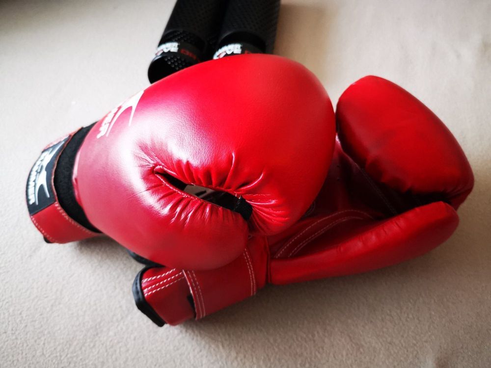Boxhandschuh inkl. Trockner | Kaufen auf Ricardo