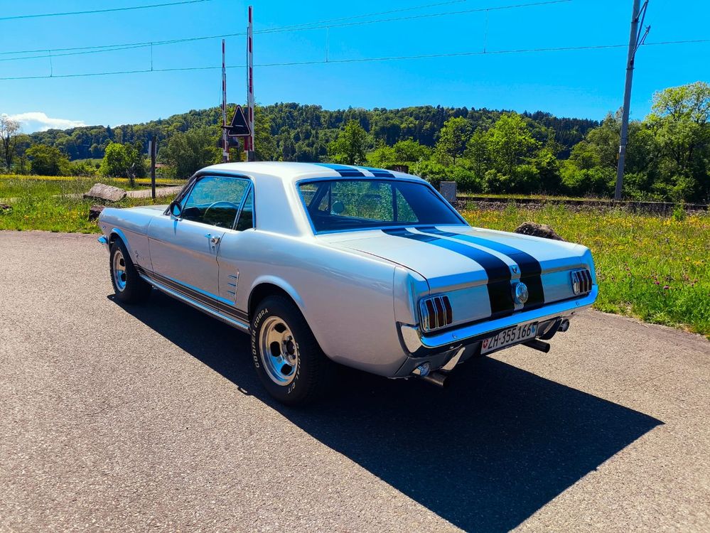 Ford Mustang Coupé V8 (289 ci) – 1965 - Veteranenfahrzeug (Gebraucht ...