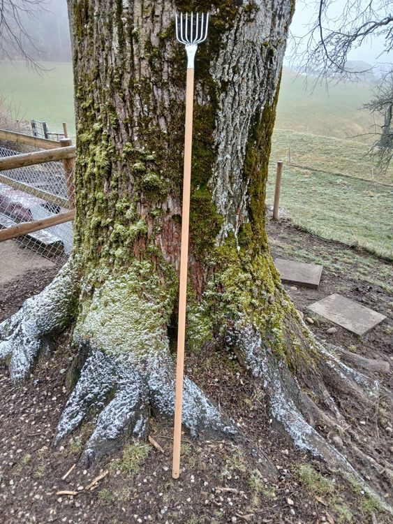 Hochsee-Harpune 7 zackige HARPUNE HANDHARPUNE 2m robust (Neu (gemäss ...