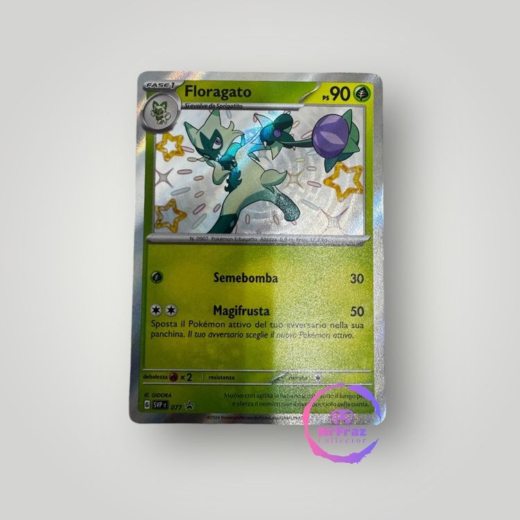 Pokémon Floragato #77 Shiny / 2024 Scarlet & Violet Promo (Gebraucht ...