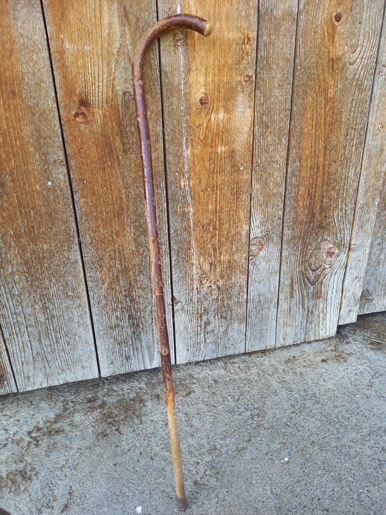 Antiker Spazierstock Gehstock Holz Vintage Wanderstock (Gebraucht) in Galgenen für CHF 7 – mit ...