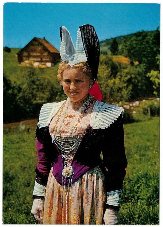 Appenzeller Tracht (Gebraucht) in Frauenfeld für CHF 3.2 – mit ...