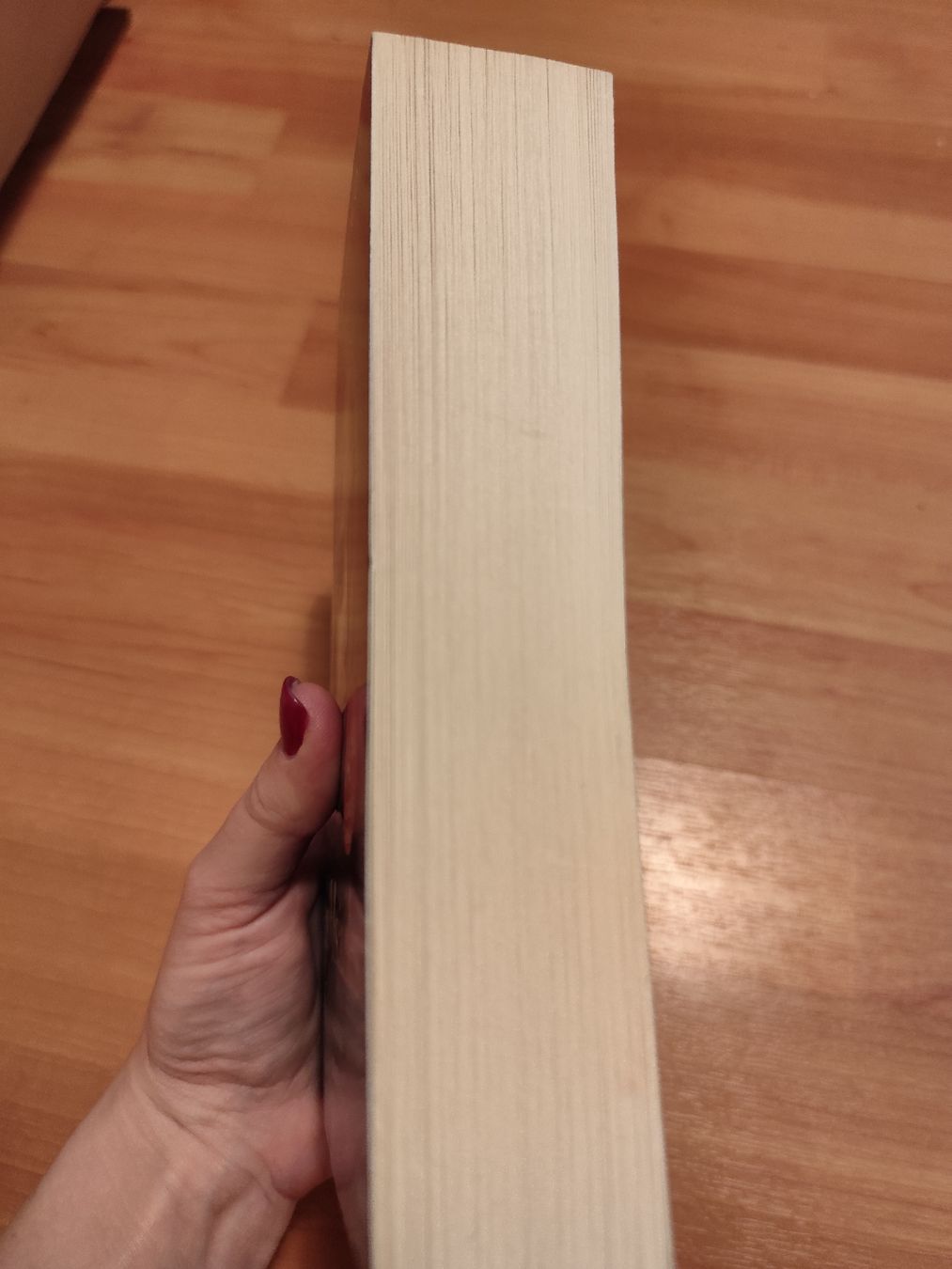 Les Miserables by Victor Hugo - Perfect Autumn Read! (Gebraucht) in ...