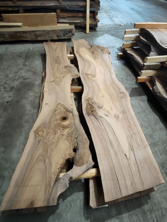 Holz Brett Nussbaum 301 (Neu (gemäss Beschreibung)) in Attelwil für CHF ...