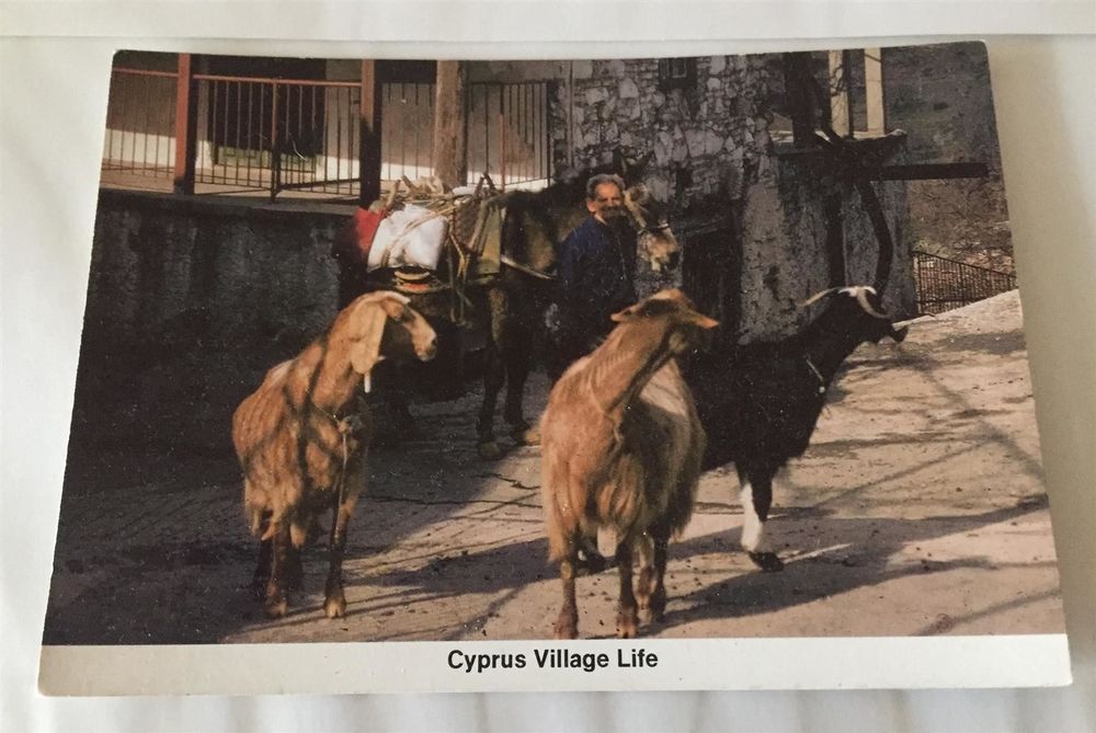 Cyprus village life / Chypre / Zypern Carte potale Pots card (Gebraucht ...