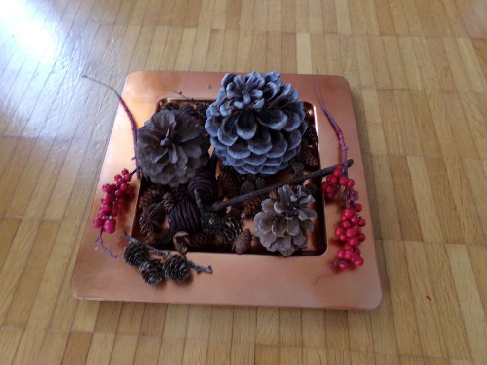 Deko Tannzäpfen mit Teller Set O2 (Gebraucht) in Winterthur für CHF 5 ...