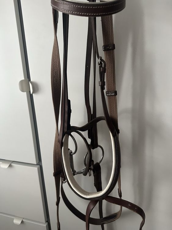Zaum inklusive Trense und Zügel Full (Gebraucht) in Willisau für CHF 50 ...
