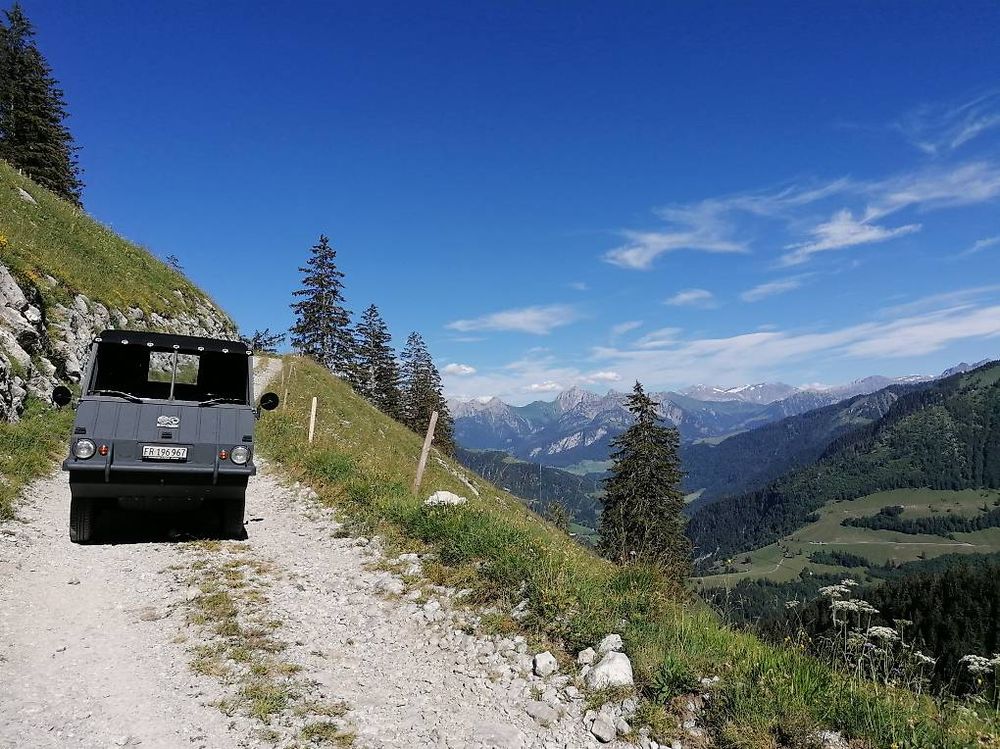 Haflinger série 2 (Gebraucht) in albeuve für CHF 24900 – nur Abholung auf Ricardo kaufen