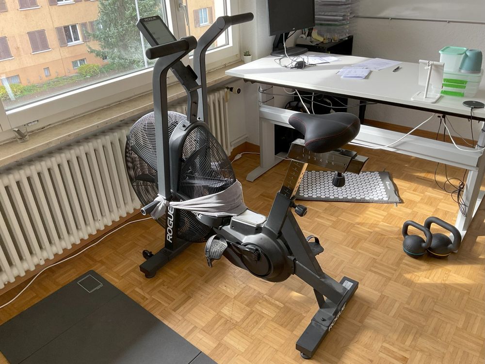 Rogue Echo Bike V3 - neu 2023 gekauft - Neupreis 795 Euro | Kaufen auf ...