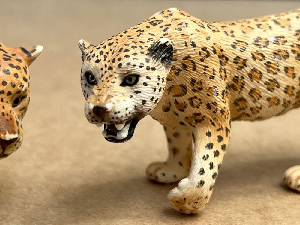 Schleich Leopard und Jaguar | Kaufen auf Ricardo