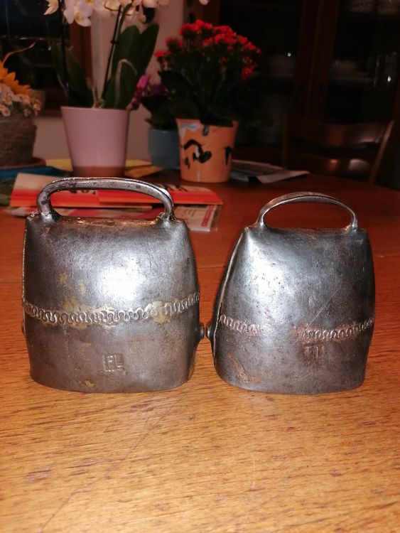 Talax | Kaufen auf Ricardo