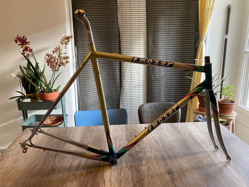 F. Moser Leader AX Evolution Bike Frame (Gebraucht) in Geneve für CHF ...
