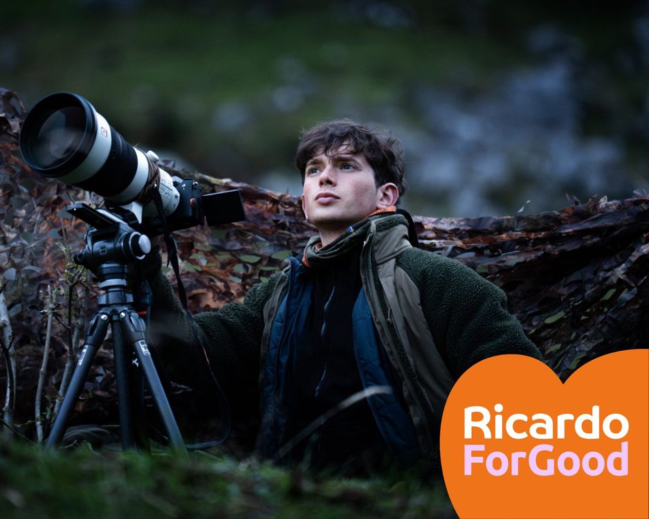 Fine-Art Print Trilogie «Alpine Wildnis» von Levi Fitze (Neu und ...