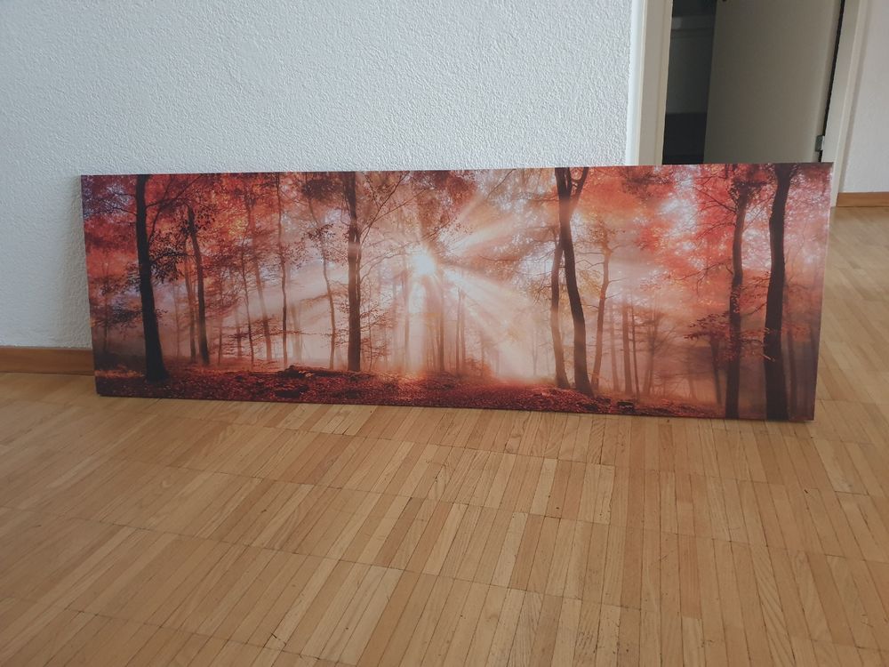 Leinwand Bild (Gebraucht) in Spreitenbach für CHF 1 – nur Abholung auf Ricardo kaufen