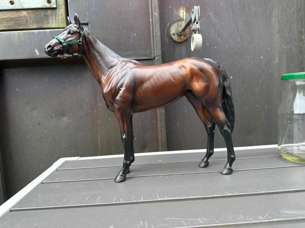 Breyer Pferd Winx | Kaufen auf Ricardo