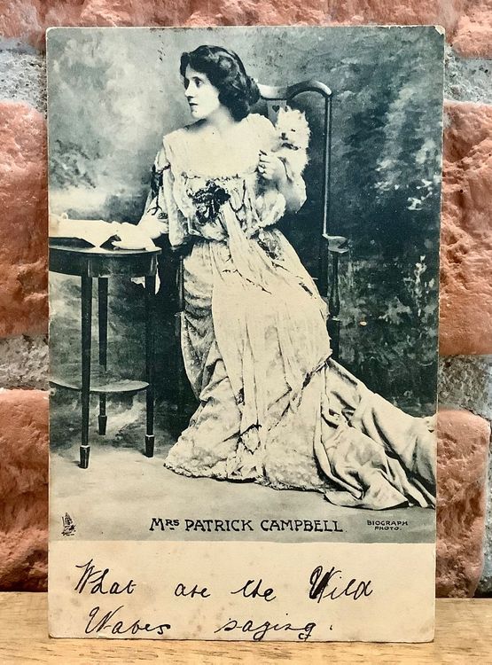 1903 Antike AK MISS PATRICK CAMPBELL mit Hund aus England | Acheter sur Ricardo
