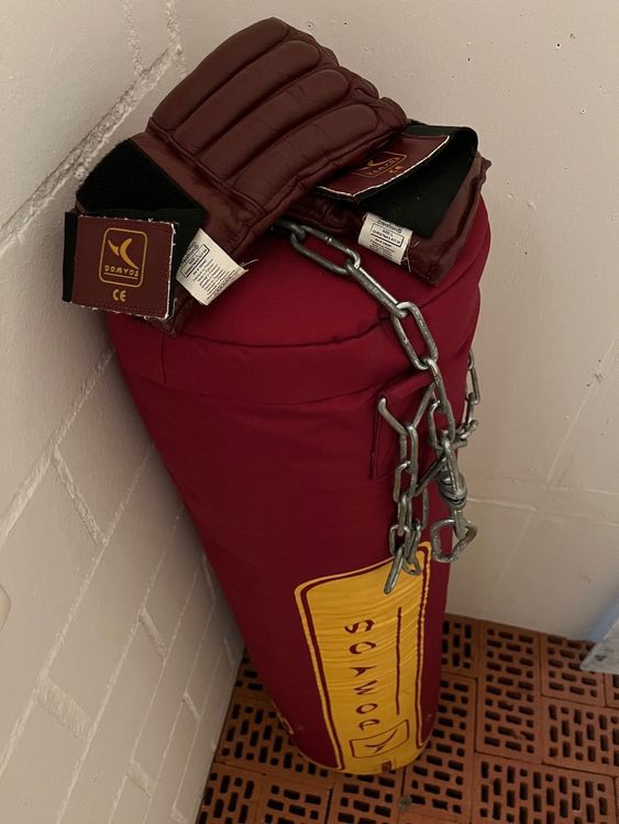 Domyos Boxsack gefüllt, mit Handschuhen (Gebraucht) in Aesch für CHF 10 ...