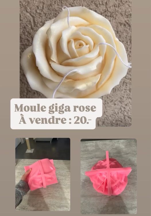 Moule silicone giga rose (D'occasion) à Lussery-Villars pour CHF 20 ...