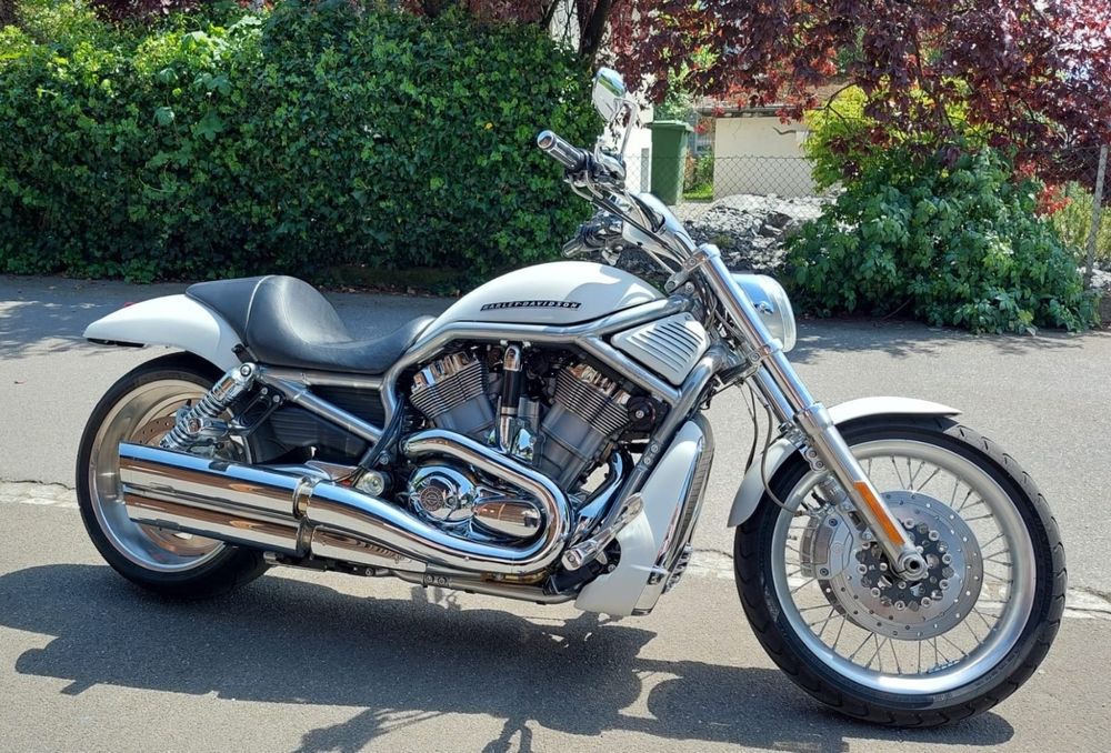Harley Davidson V-Rod VRSCAW, Top Zustand! (Gebraucht) in Adligenswil ...