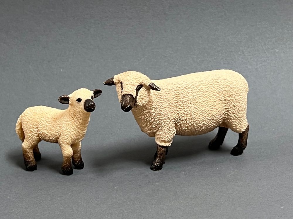 Schleich 13681 Shropshire Schaf | Kaufen auf Ricardo