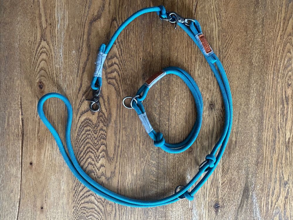 Hundeleine mit Halsband Zugstopp von Trixie be nordic (Gebraucht) in ...