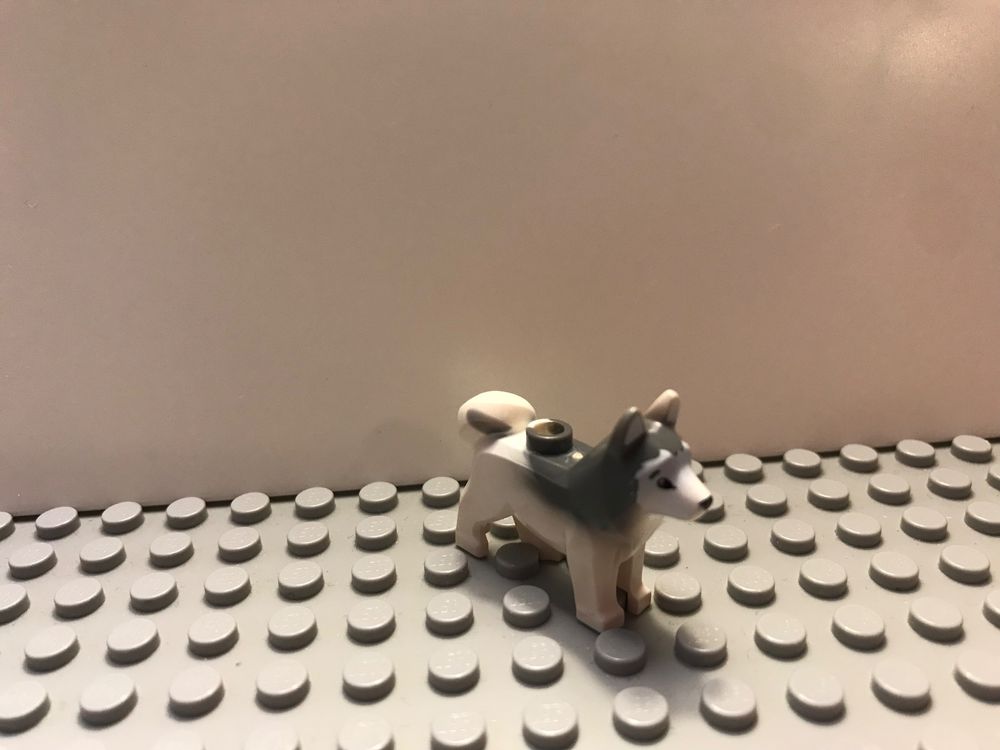 Lego Husky (D'occasion) à pour CHF 4 – avec livraison | Acheter sur Ricardo